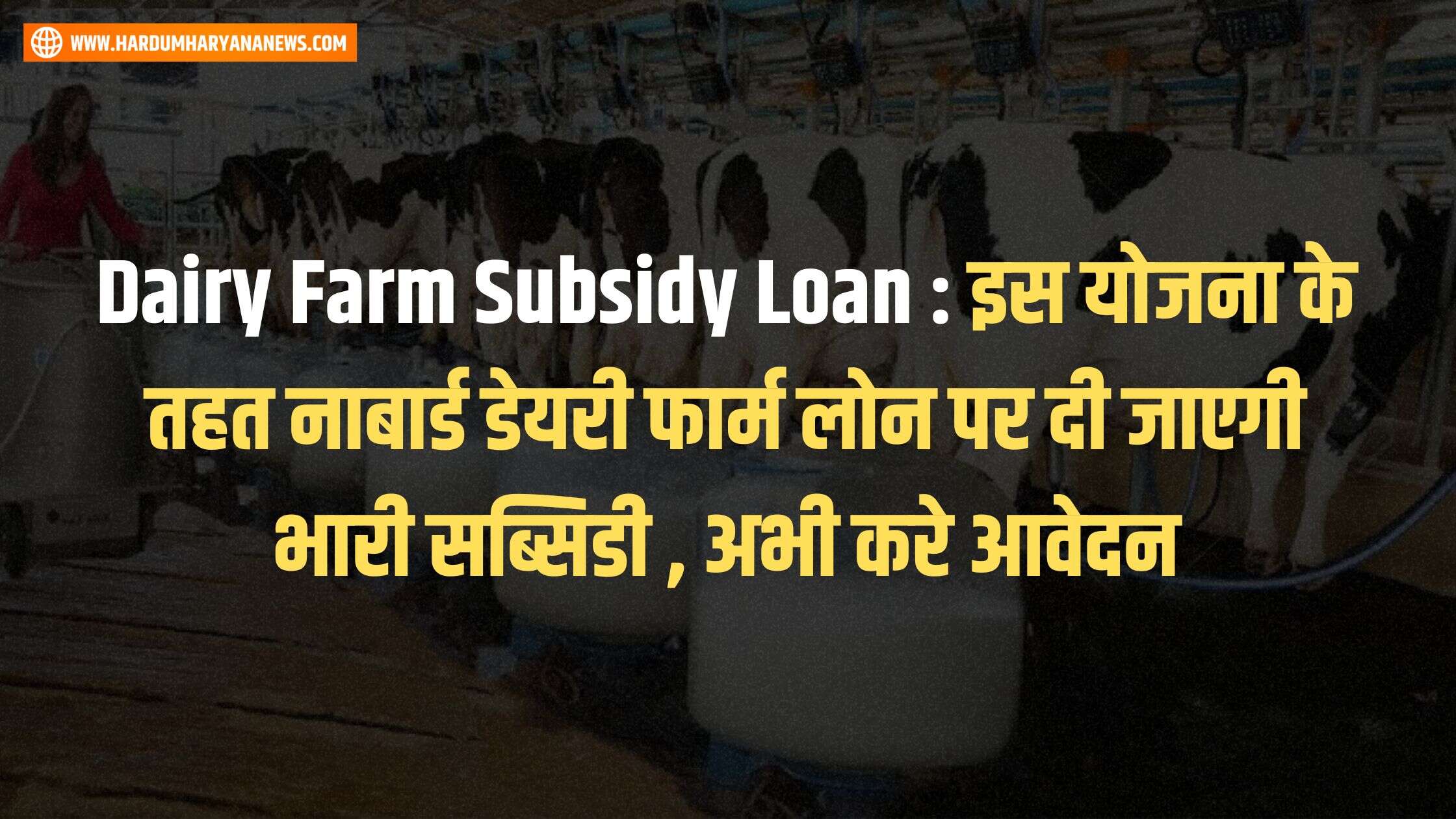 Dairy Farm Subsidy Loan : इस योजना के तहत नाबार्ड डेयरी फार्म लोन पर दी ...