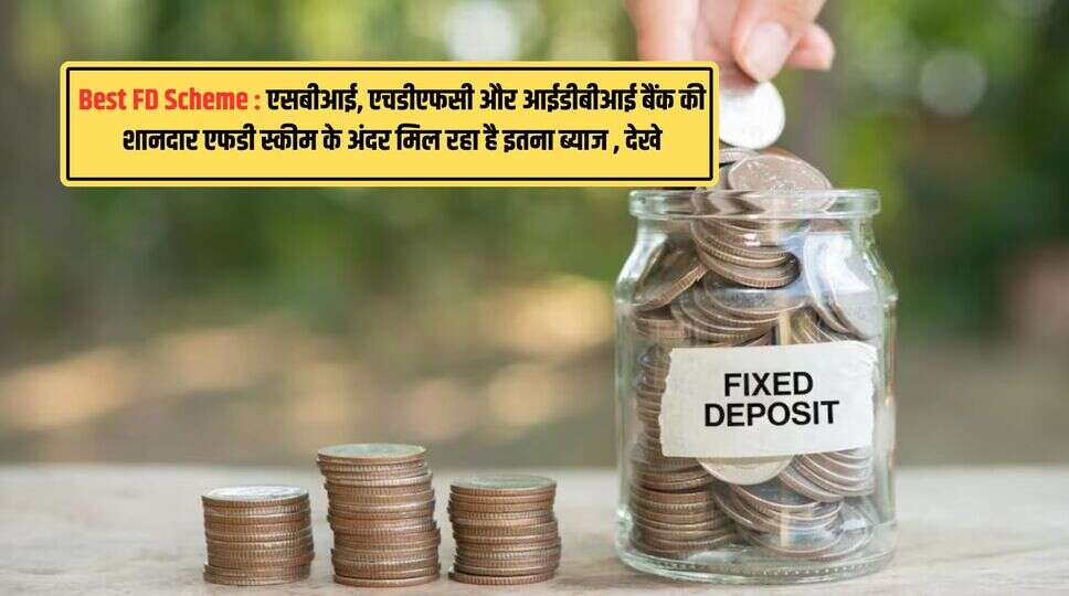 Best FD Scheme : एसबीआई, एचडीएफसी और आईडीबीआई बैंक की शानदार एफडी स्कीम ...