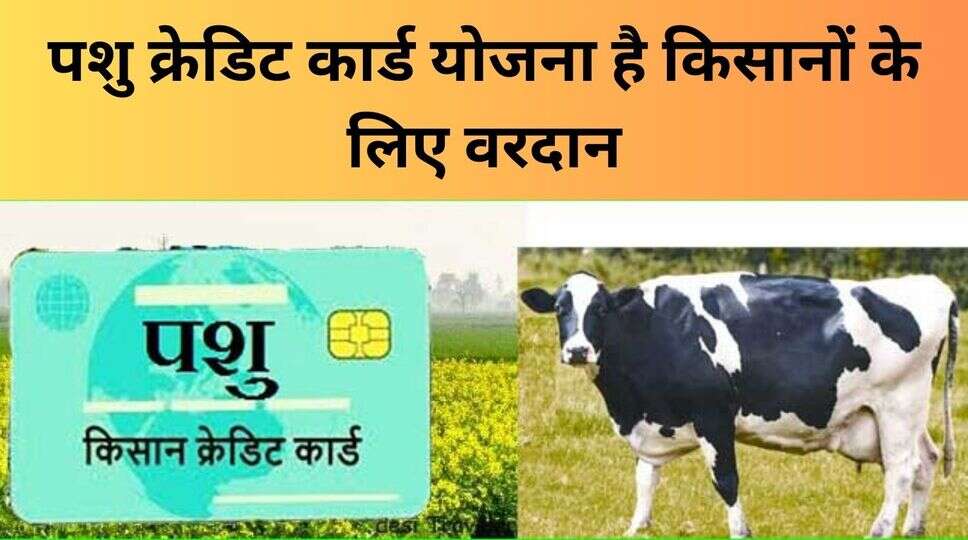 Pashu Kisan Credit Card Yojana 2023: पशु क्रेडिट कार्ड योजना है किसानों ...