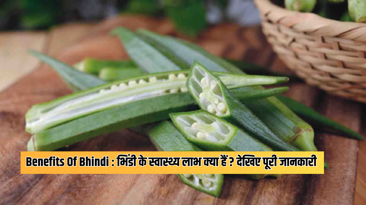 Benefits Of Bhindi : भिंडी के स्वास्थ्य लाभ क्या हैं ? देखिए पूरी जानकारी
