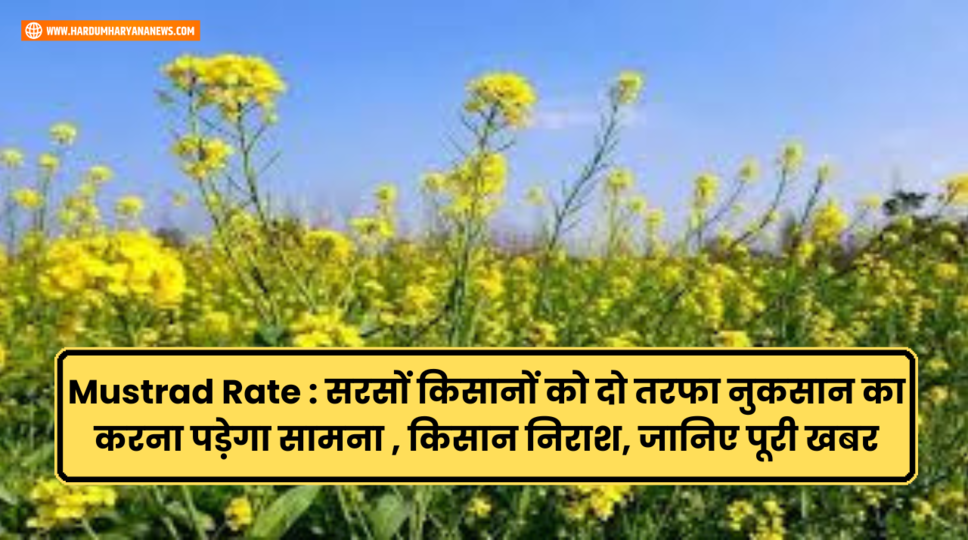 Mustrad Rate : सरसों किसानों को दो तरफा नुकसान का करना पड़ेगा सामना ...